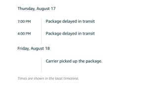 Why Does My Amazon Package Keep Getting Delayed in Transit? – Simple ...