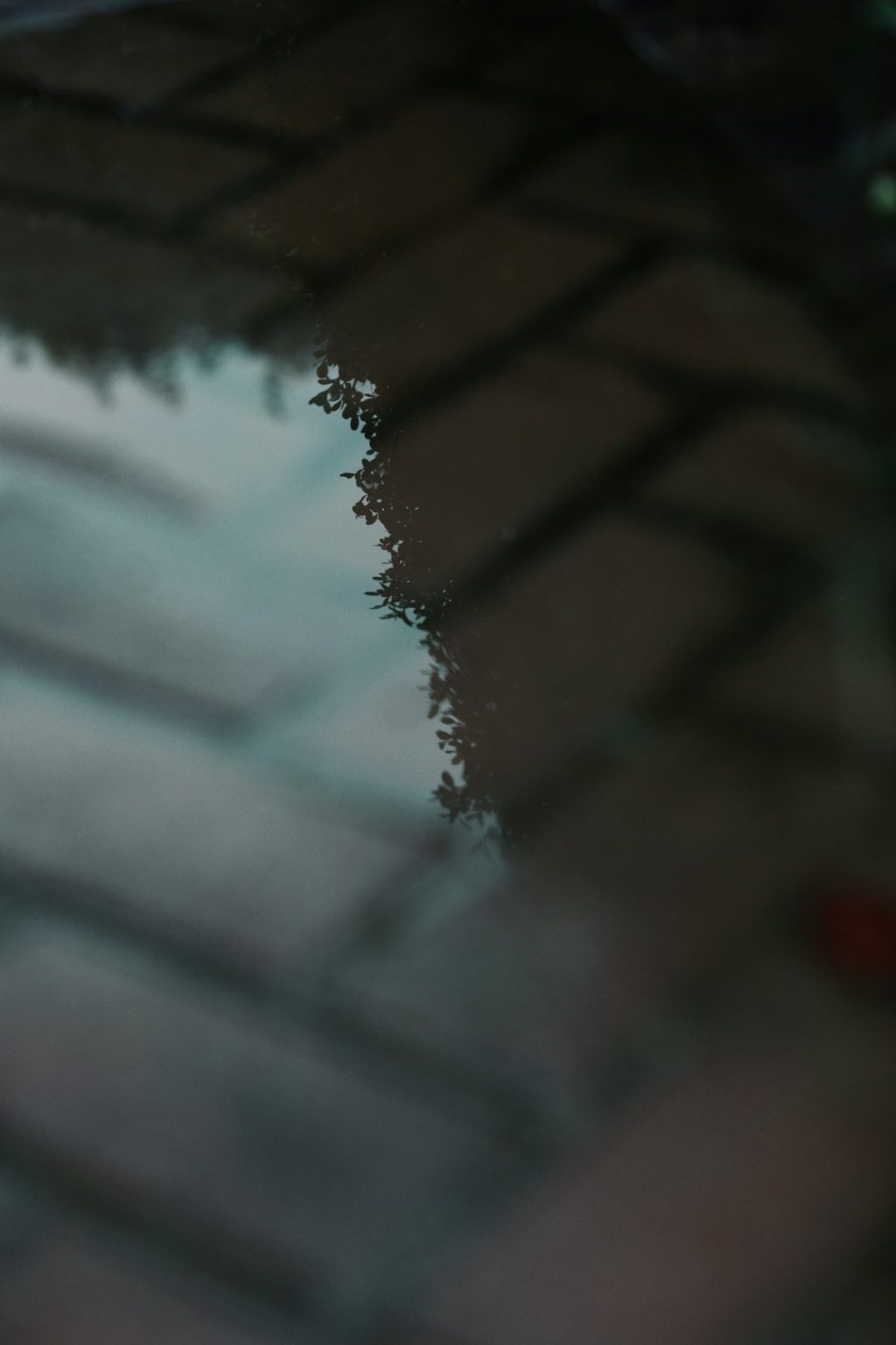 Epic Fight Texture Not Working? Here’s How to Fix It – Simple Author Box